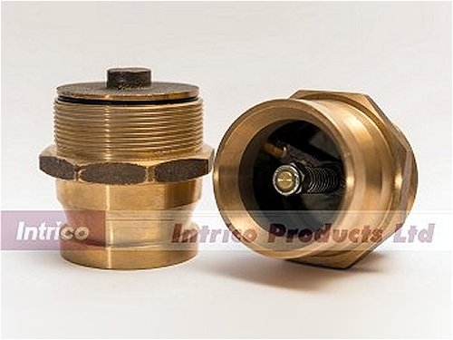 Instantaneous BS336 male fitting with non return valve
